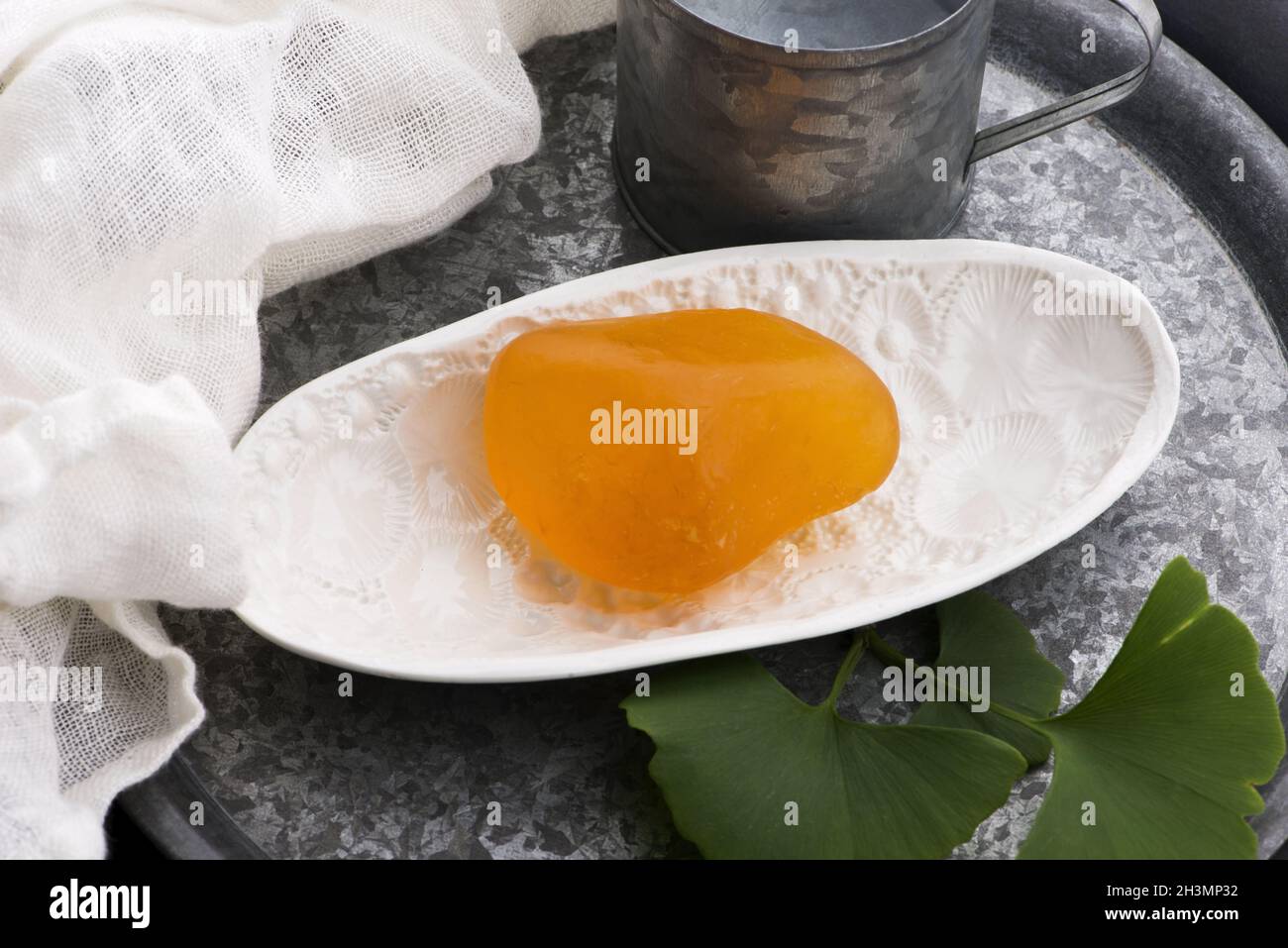 Ginkgo biloba container hi-res stock photography and images - Alamy