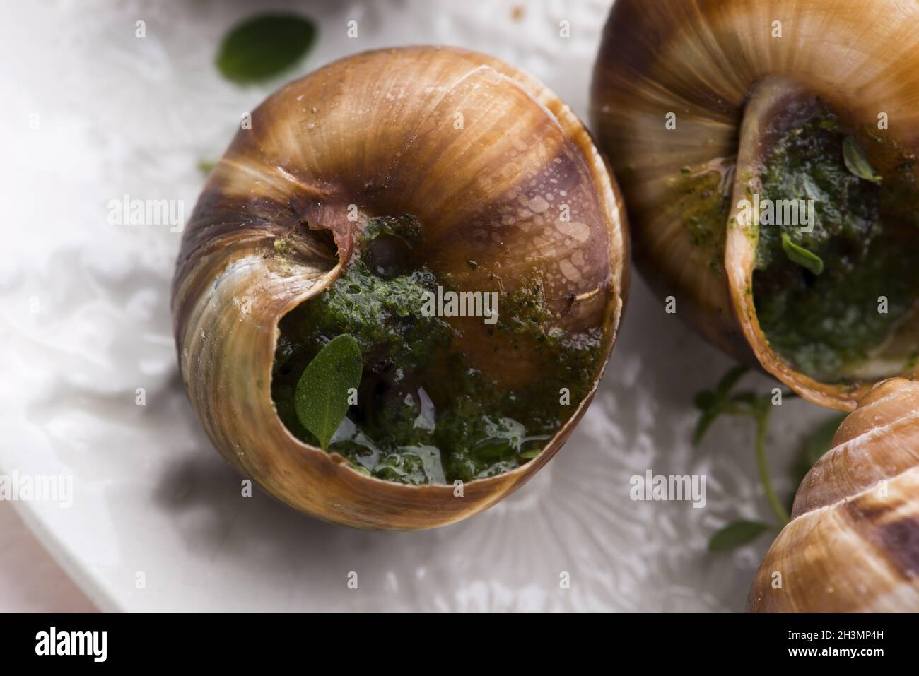 Escargot platter, delicious french delicatessen Stock Photo - Alamy