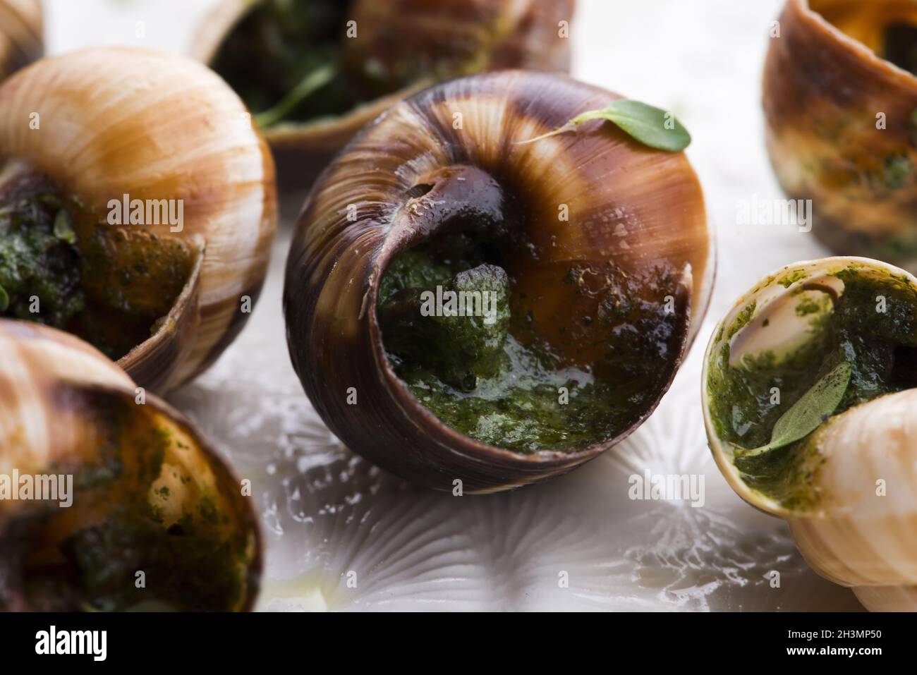Escargot platter, delicious french delicatessen Stock Photo - Alamy