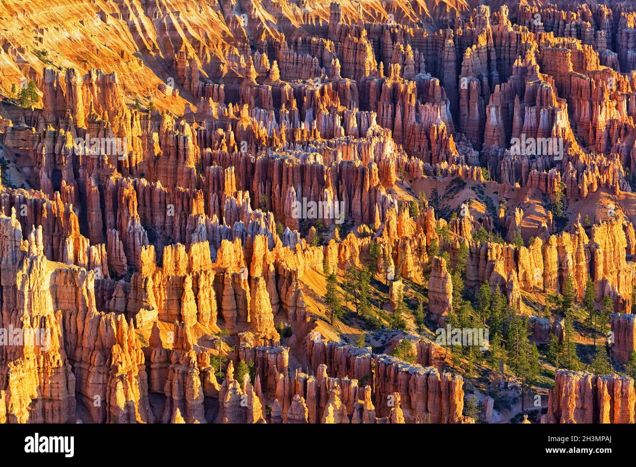 Bryce Canyon, Bryce Canyon National Park, Utah, USA Stock Photo - Alamy
