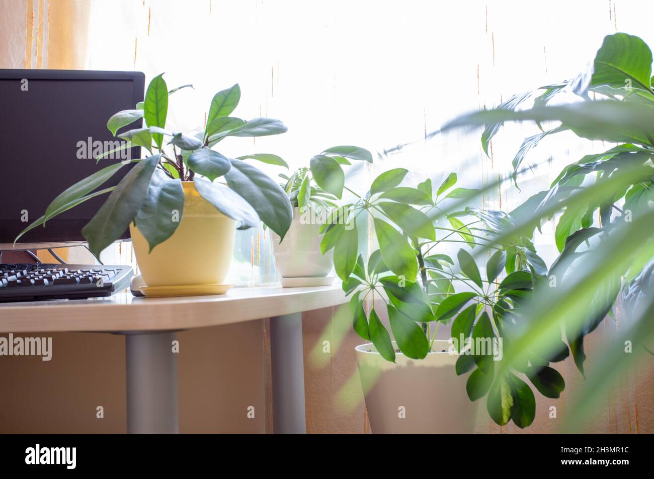 Home comfortable workplace in real interior with table with computer ...