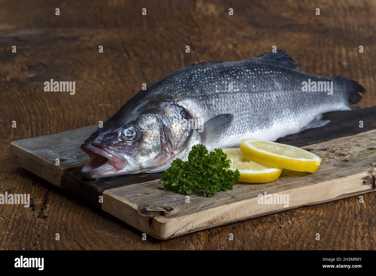 Dead sea bass fish hi-res stock photography and images - Alamy