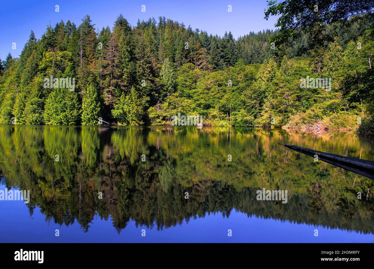 Fragrance Lake, Larrabee State Park, Bellingham, Washington Stock Photo ...