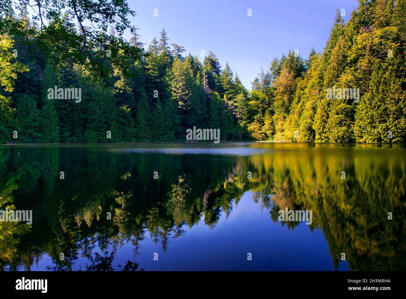Fragrance Lake, Larrabee State Park, Bellingham, Washington Stock Photo ...