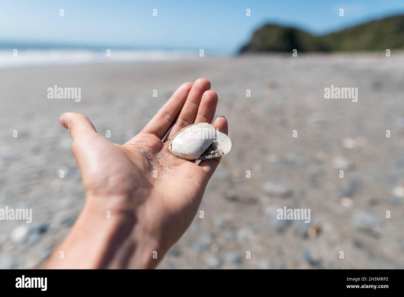 Ship Creek, Haast, West Coast, Tauparikaka Marine Reserve,New Zealand ...
