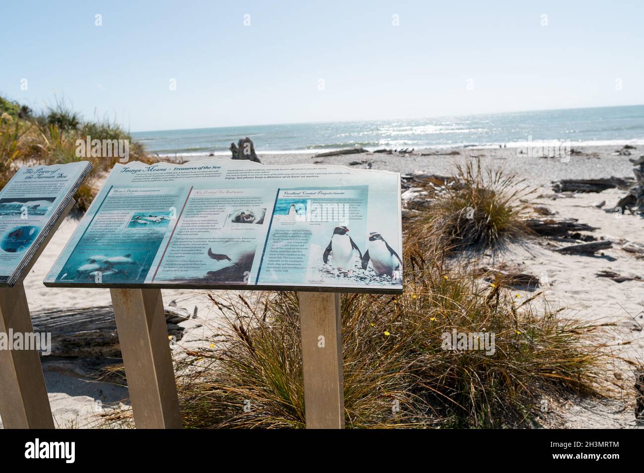 Ship Creek, Haast, West Coast, Tauparikaka Marine Reserve,New Zealand ...
