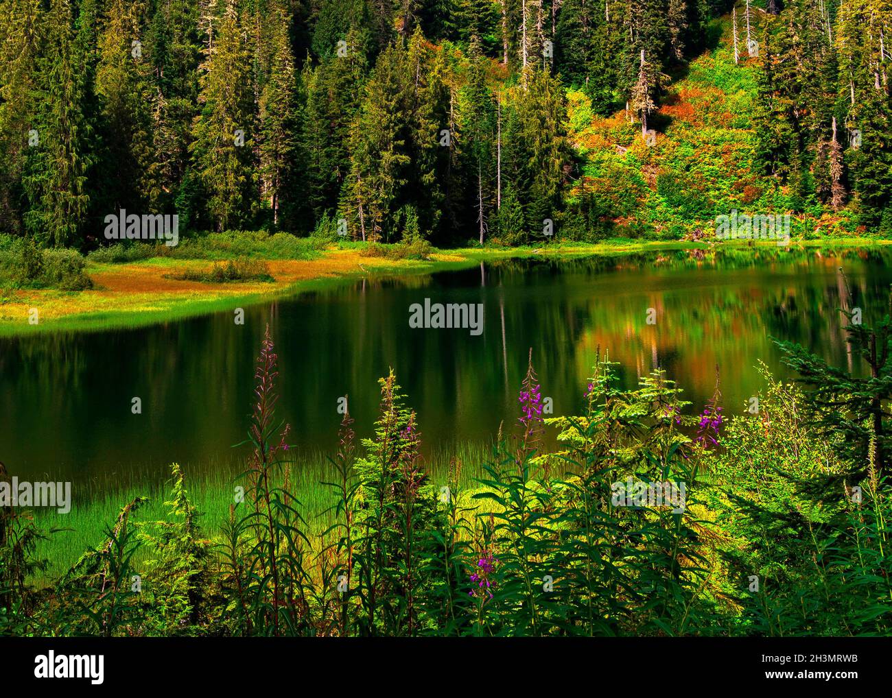 Lake Elizabeth, Mount Baker-Snoqualmie National Forest, Washington ...