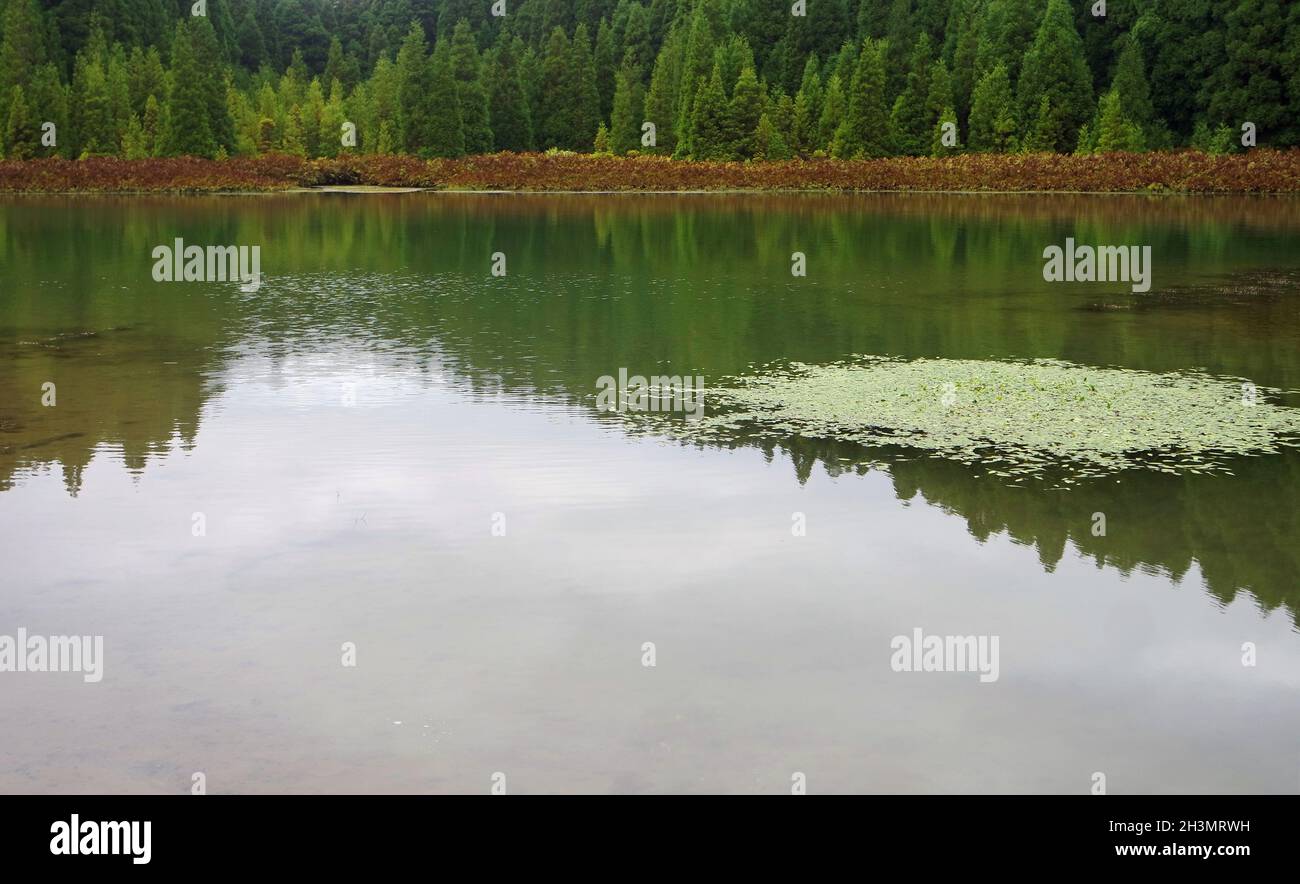 amazing green landscape on the azores island sao miguel Stock Photo - Alamy