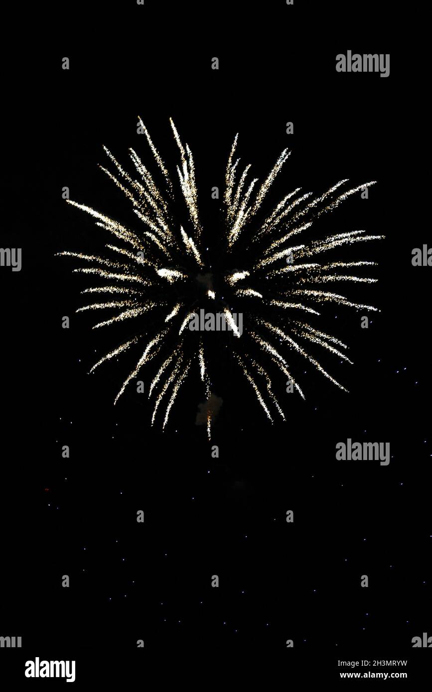 Firework at night in the black sky Stock Photo - Alamy