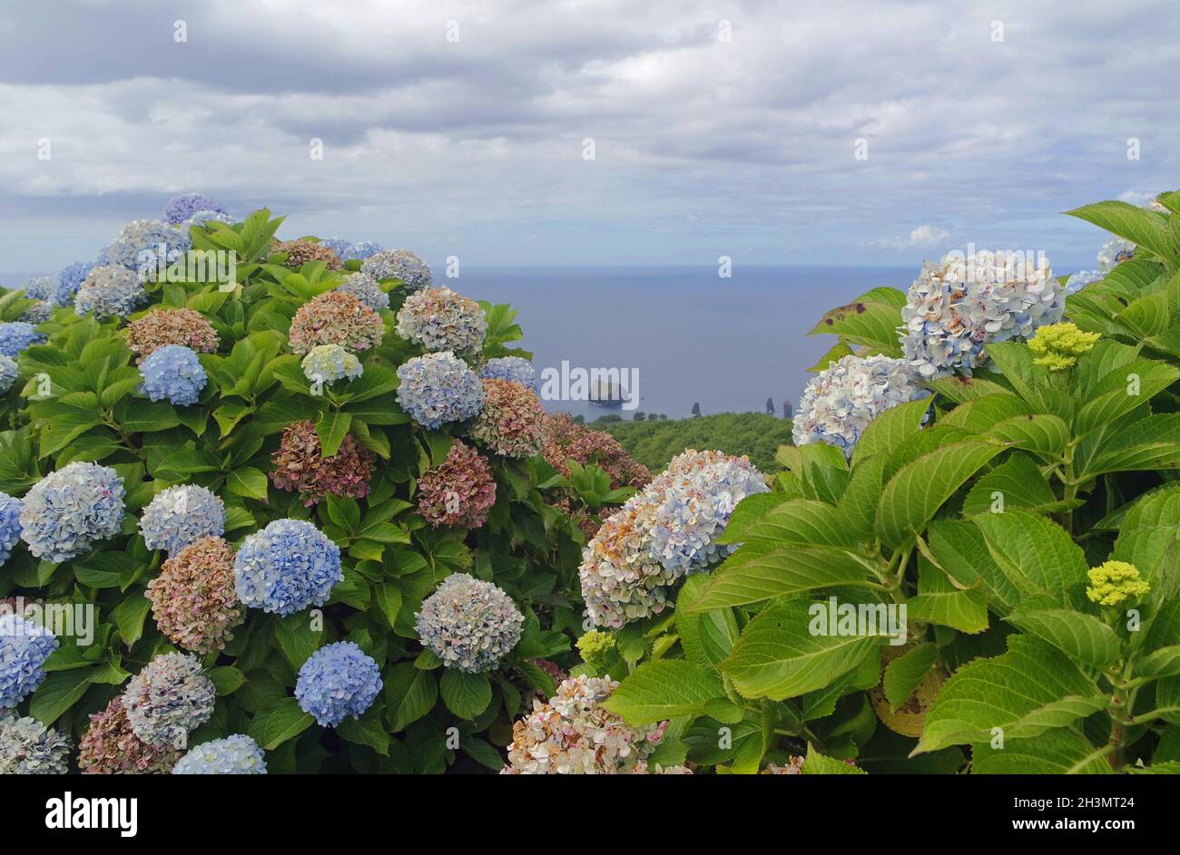 amazing green landscape on the azores island sao miguel Stock Photo - Alamy