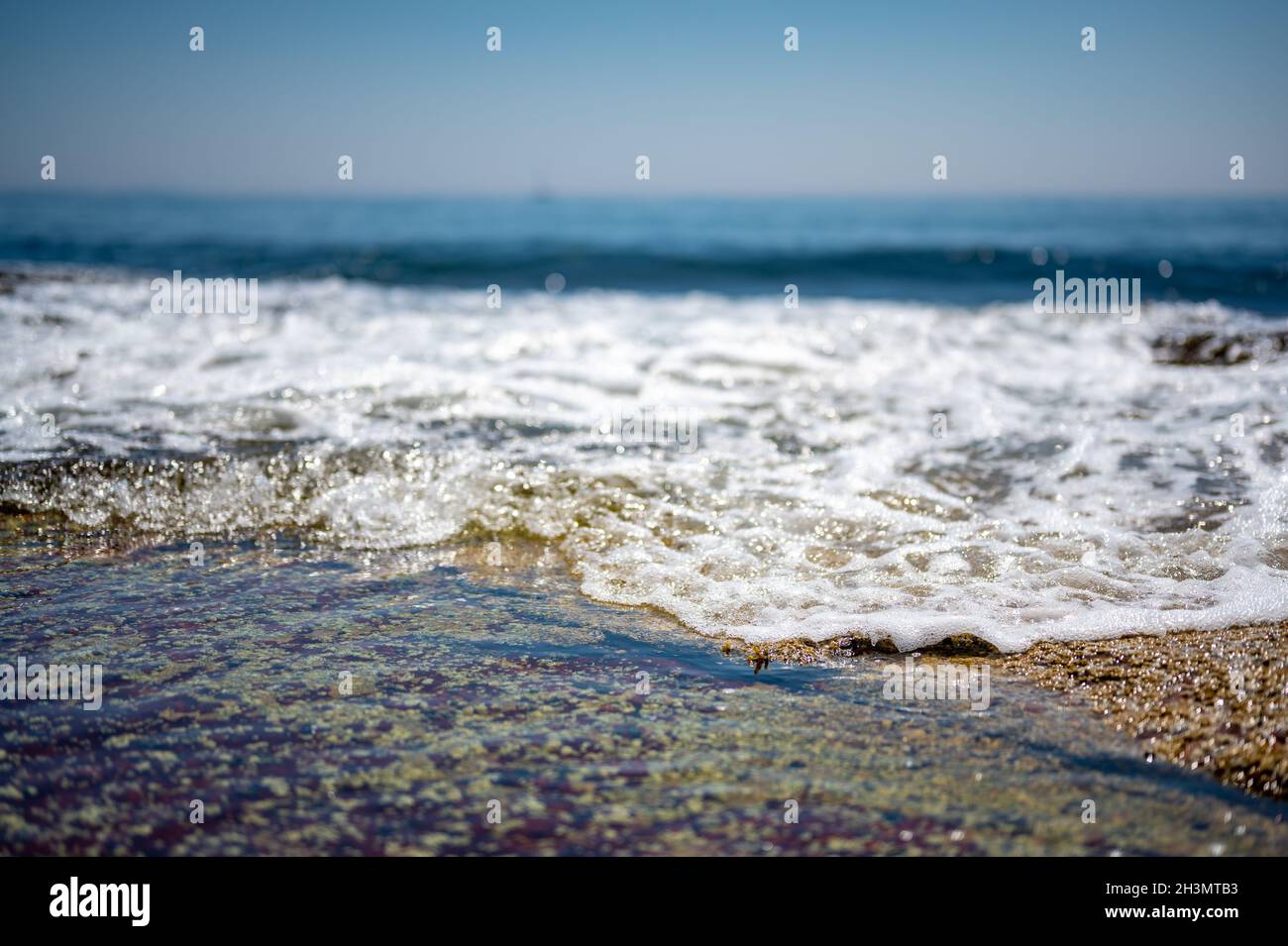 Tide refreshing pools at the oceanfront of Wonderland Trail Acadia ...
