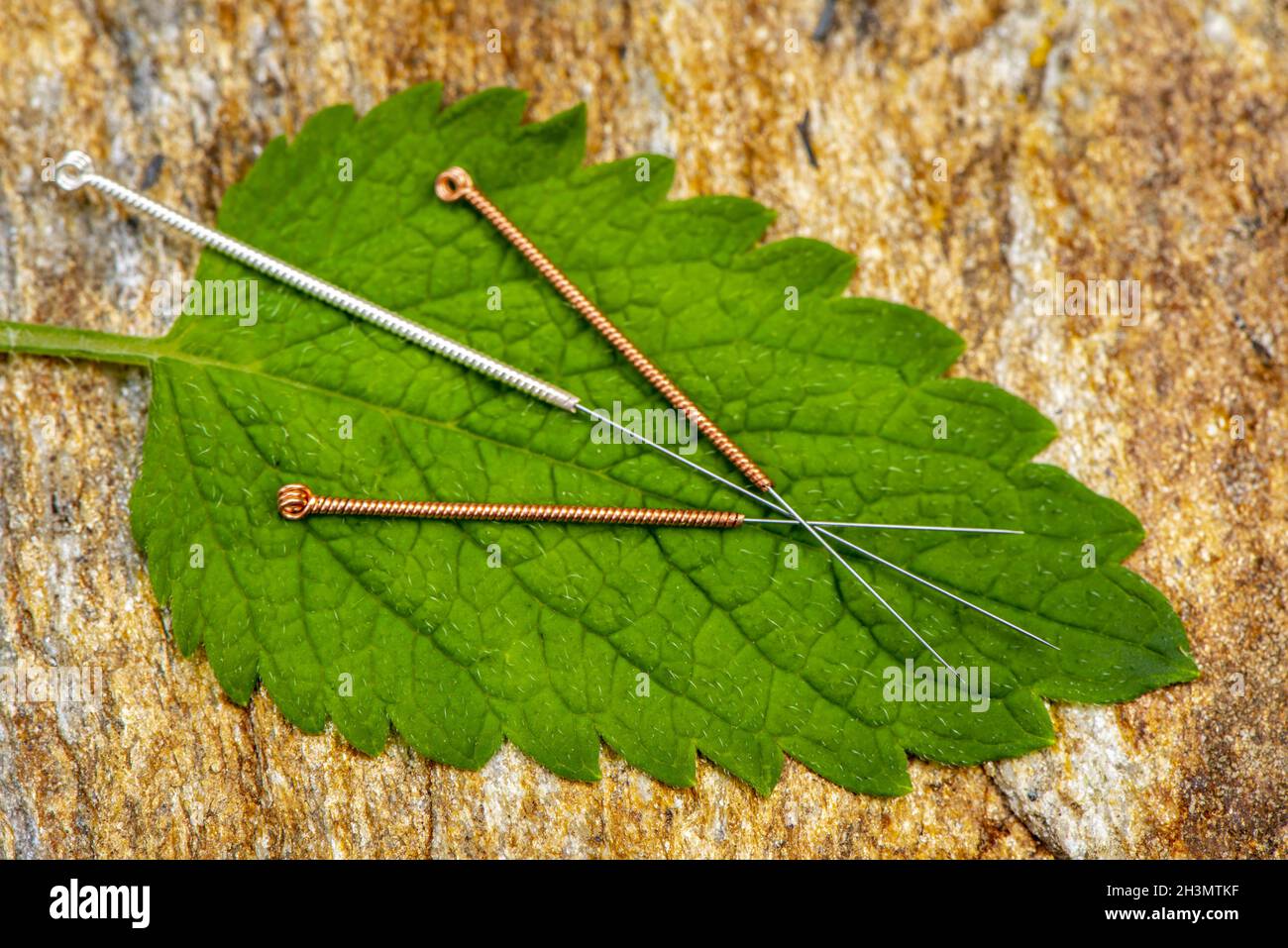 Alternative medicine with acupuncture and medicinal plant Stock Photo ...