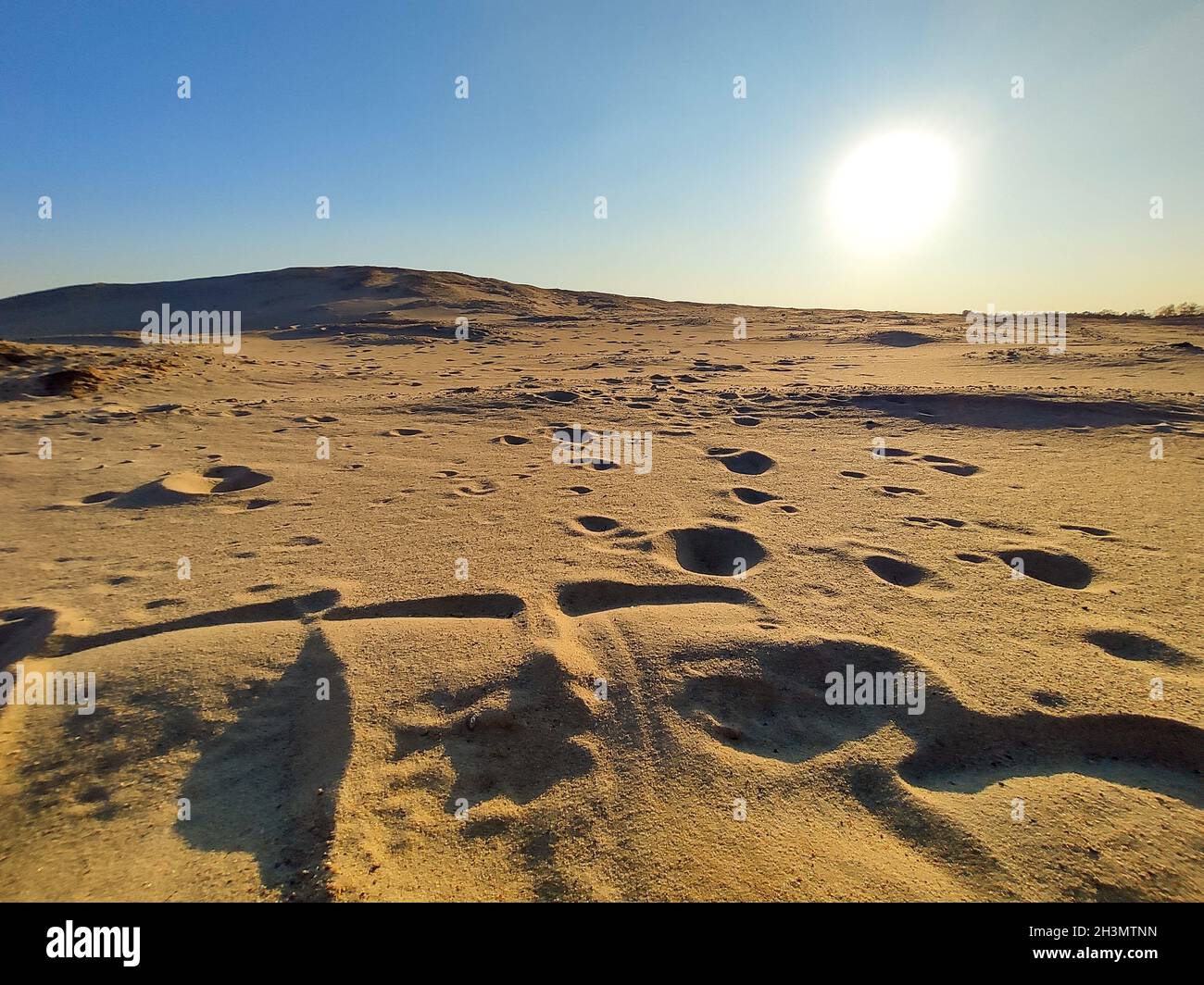 Dune setting hi-res stock photography and images - Alamy