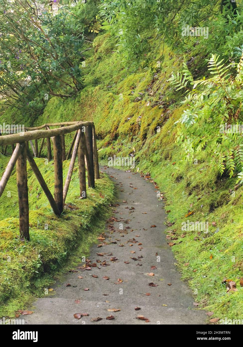 amazing green landscape on the azores island sao miguel Stock Photo - Alamy
