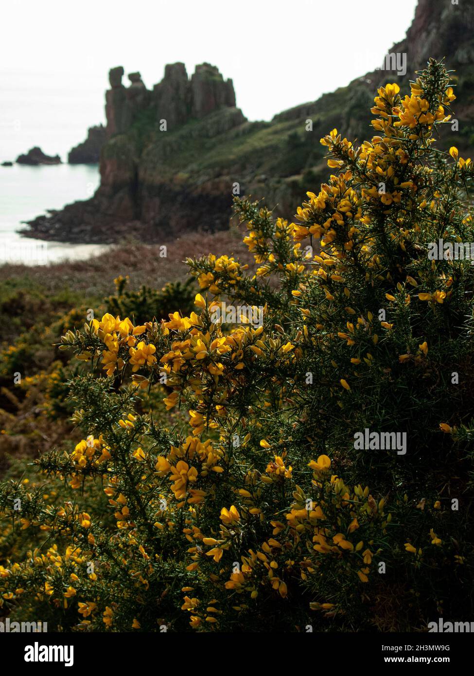 Jersey & The Channel Islands Stock Photo - Alamy
