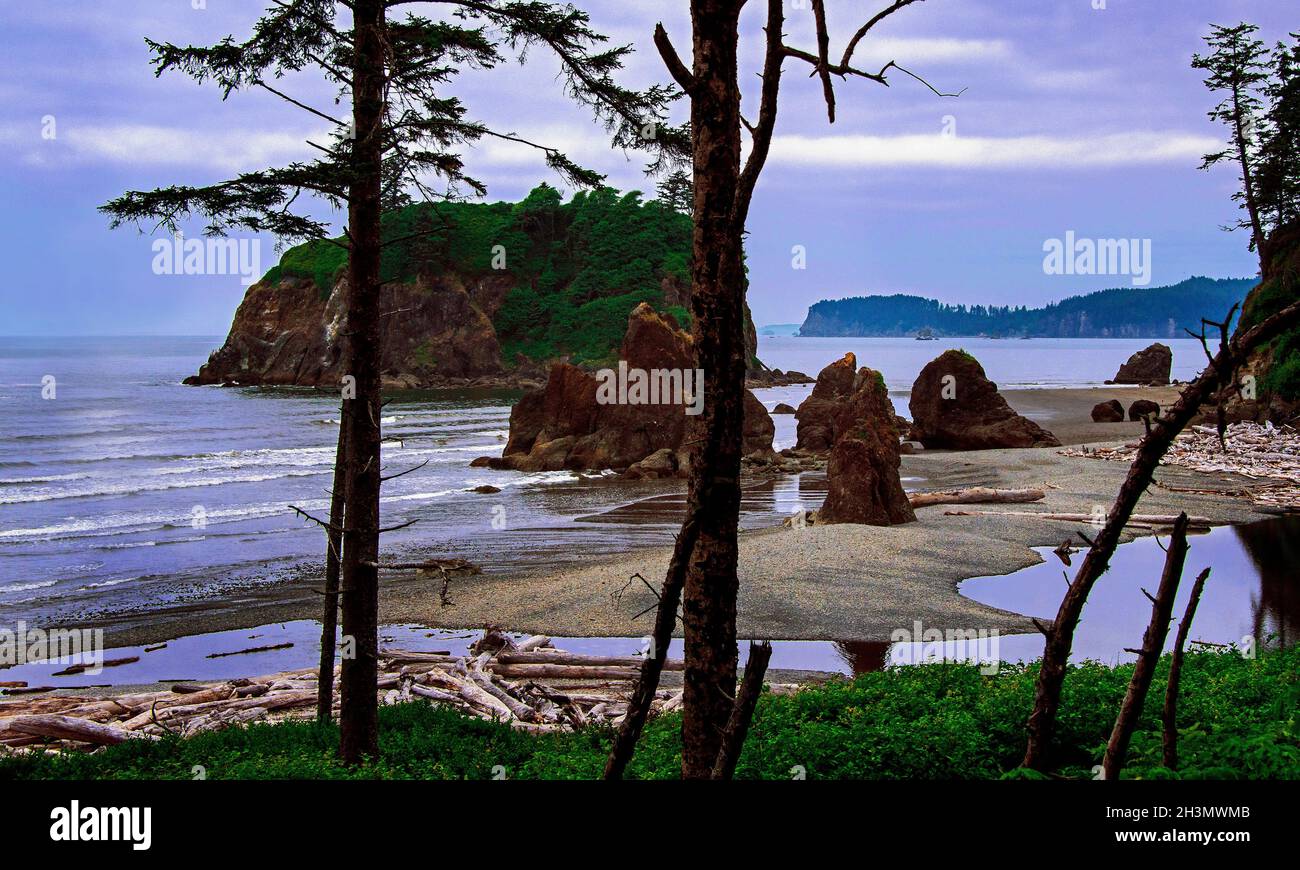 Ruby Beach with Sea Stack in foreground and Abbey Island behind ...