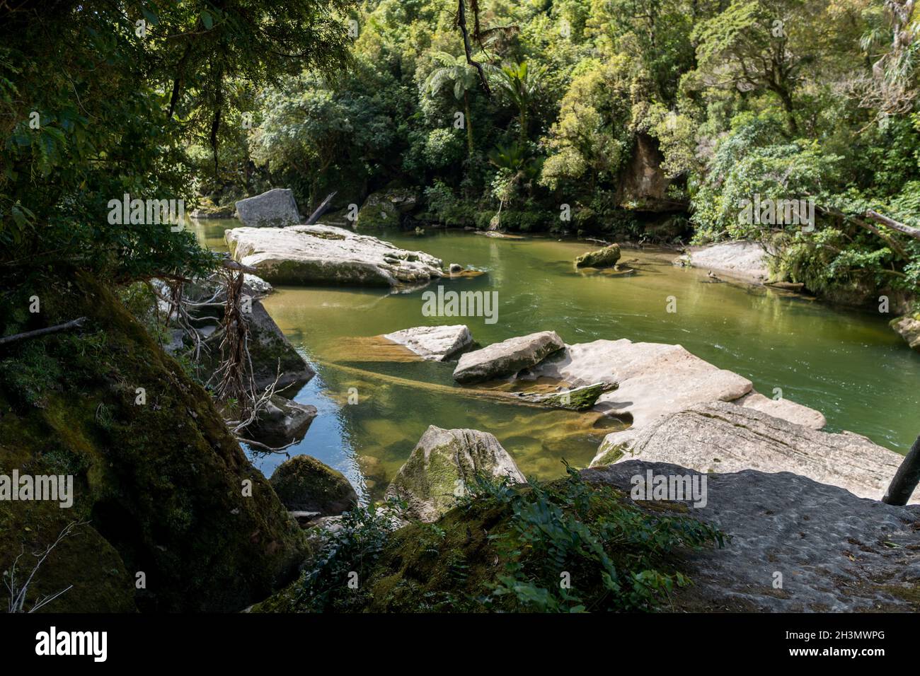 the Pororari River, new zealand, south island Stock Photo - Alamy