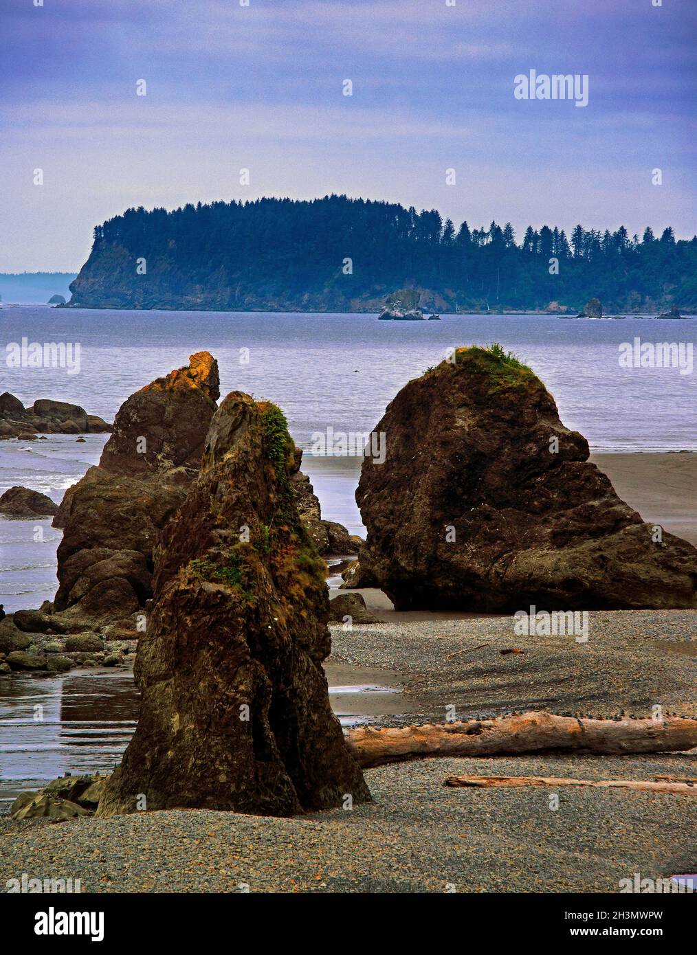Sea Stack at Ruby Beach, Olympic National Park, Washington Stock Photo ...