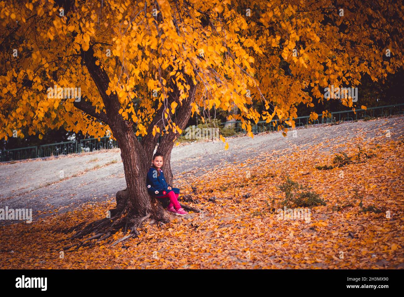 Children lying under tree hi-res stock photography and images - Alamy