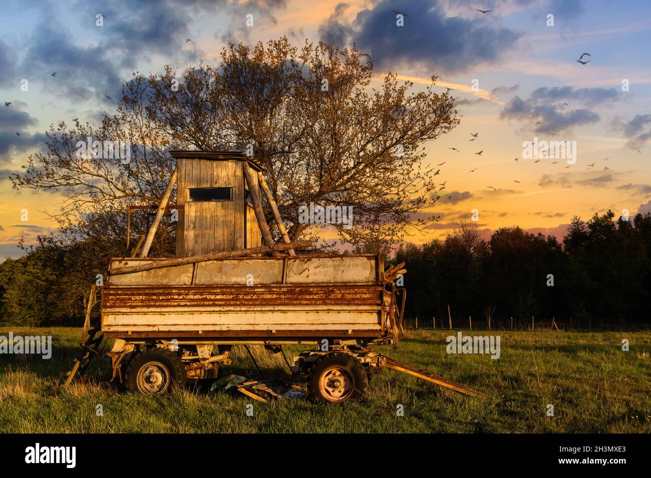 Old trailer with high seat in the sunset Stock Photo - Alamy