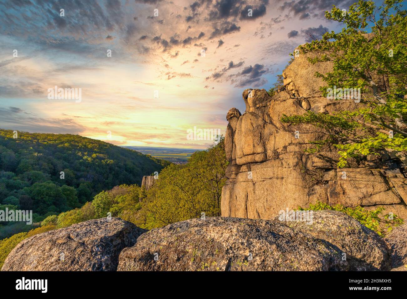 Experience nature hiking in the Harz Bode Valley Stock Photo - Alamy