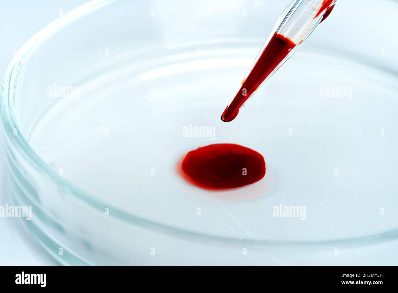 Glass dropper and Petri dish on laboratory table Stock Photo - Alamy