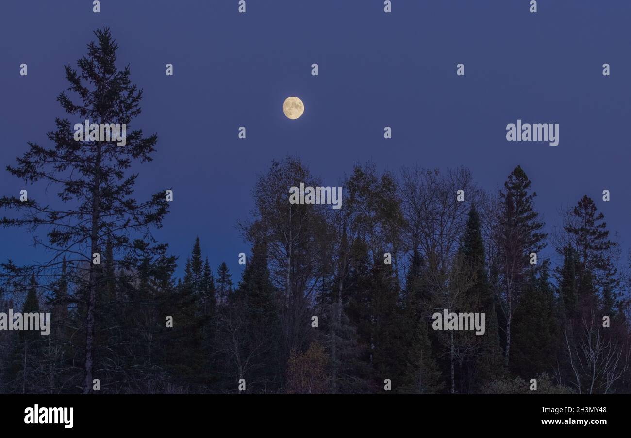 A full moon in the Chequamegon National Forest in northern Wisconsin ...