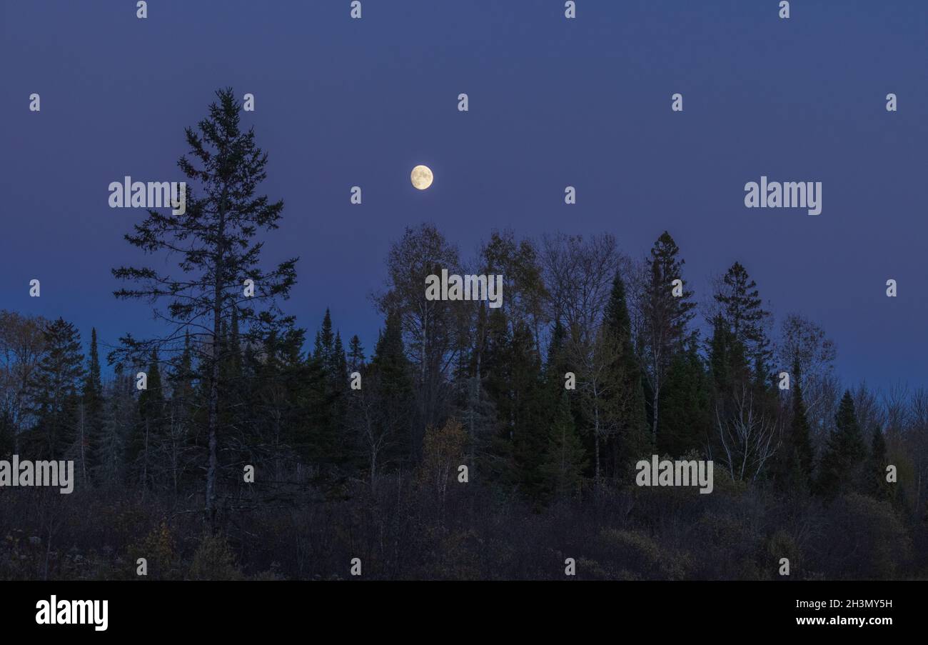 Night sky and twilight hi-res stock photography and images - Alamy