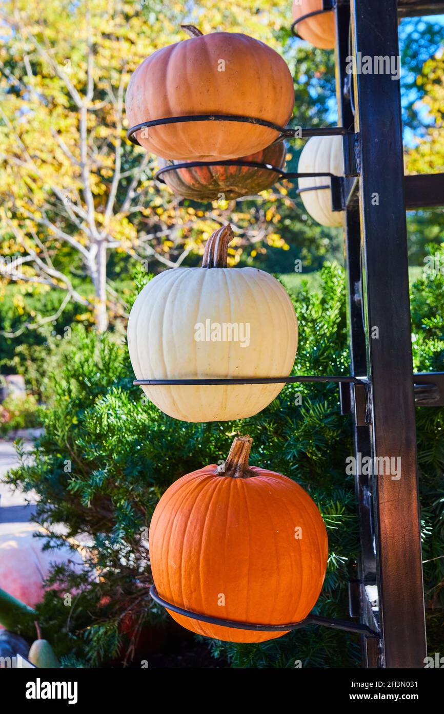 Fall structure hi-res stock photography and images - Alamy