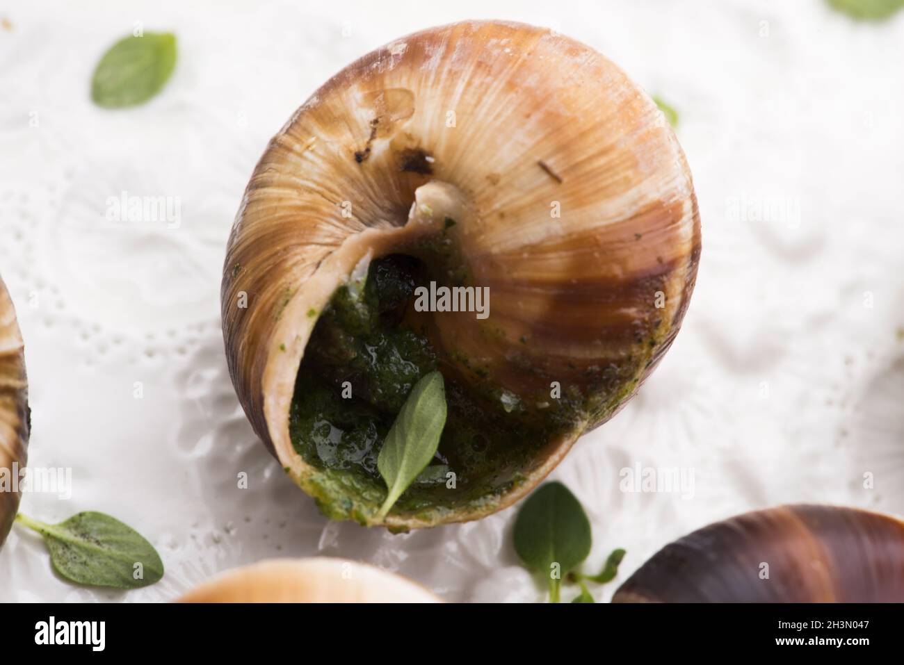 Escargot platter delicious french hi-res stock photography and images ...