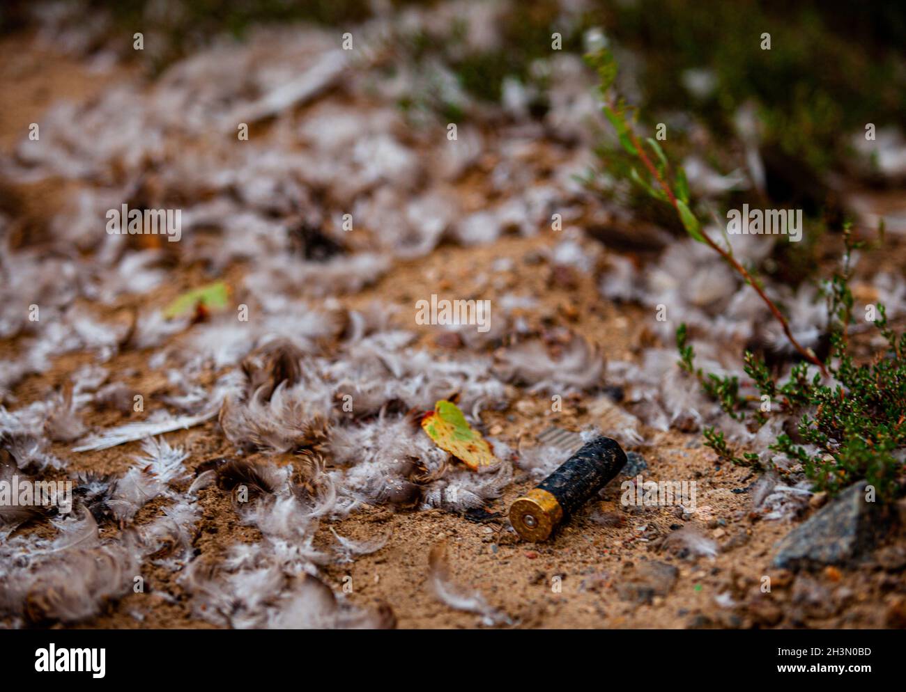 Spent cartridge hi-res stock photography and images - Alamy