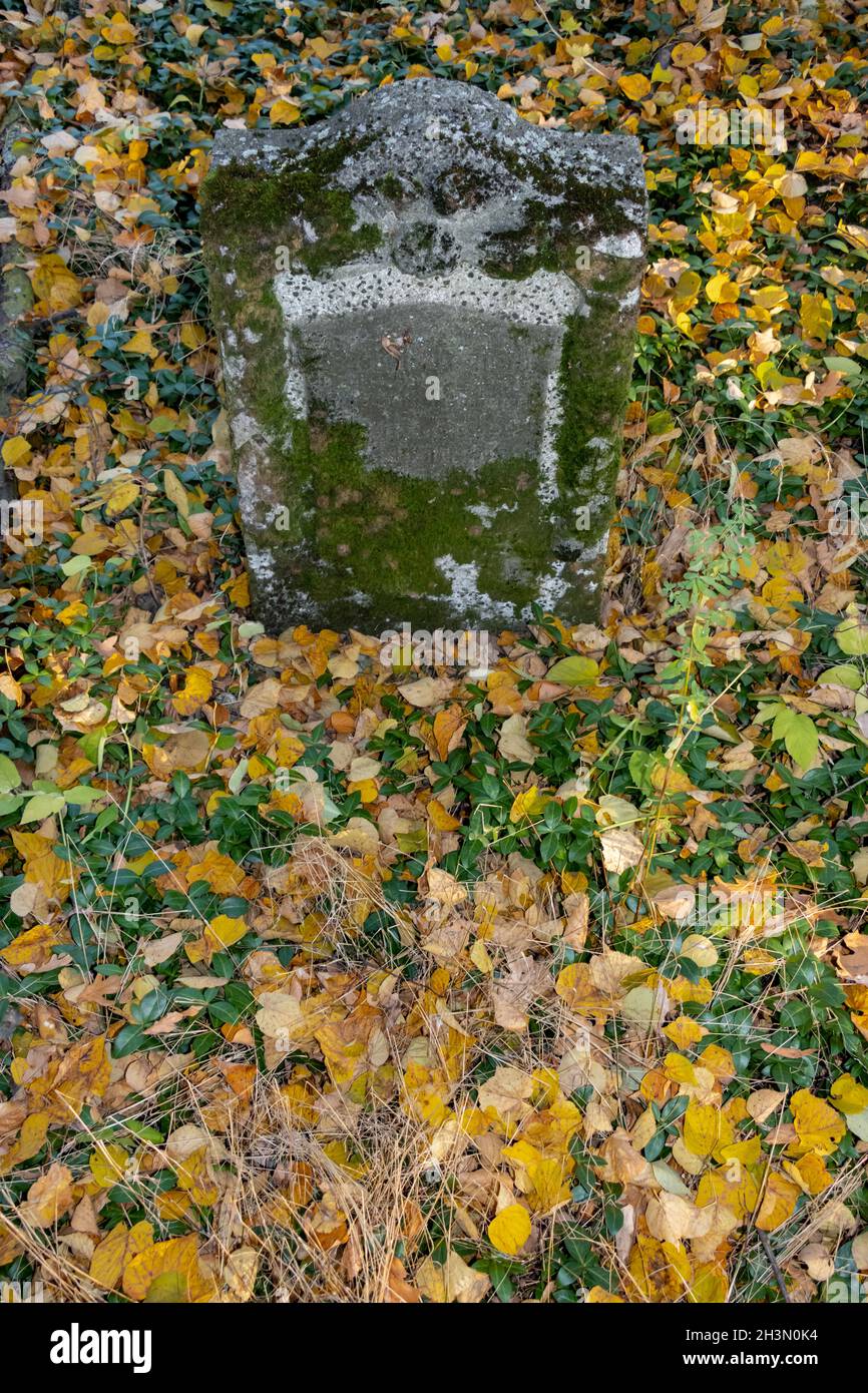 The ancient tombstone with a grave covered with autumn leaves Stock Photo - Alamy