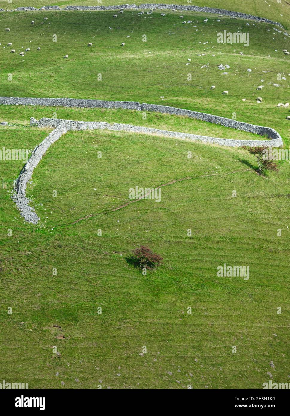 Rugged remote scenery and curved dry stone walls above Kettlewell ...