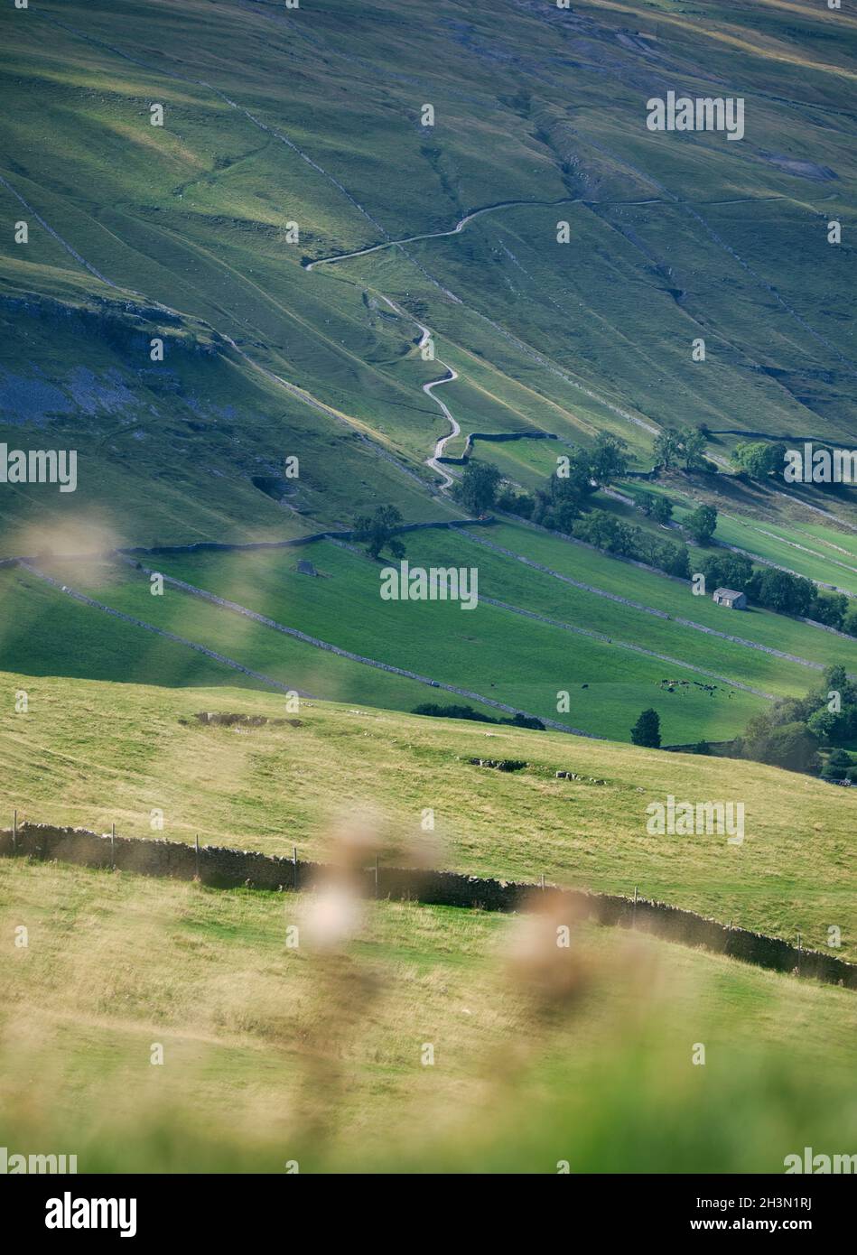 Road rash hi-res stock photography and images - Alamy