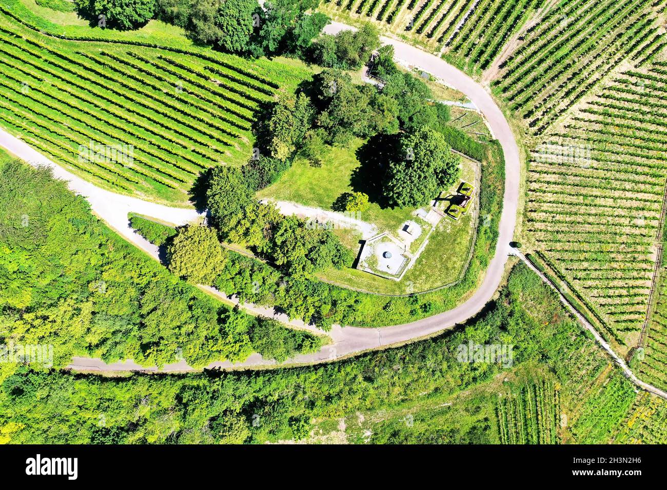 Vineyard from above Stock Photo - Alamy