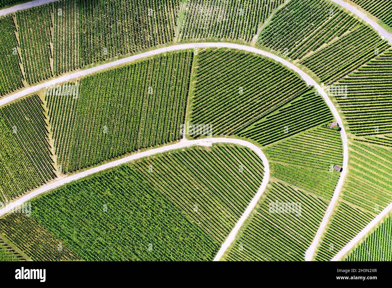 Drone vineyard hi-res stock photography and images - Alamy