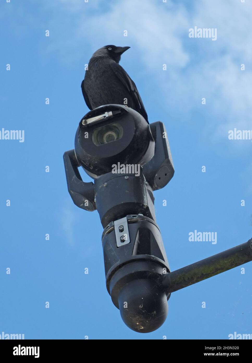 Cctv camera on top security hi-res stock photography and images - Alamy