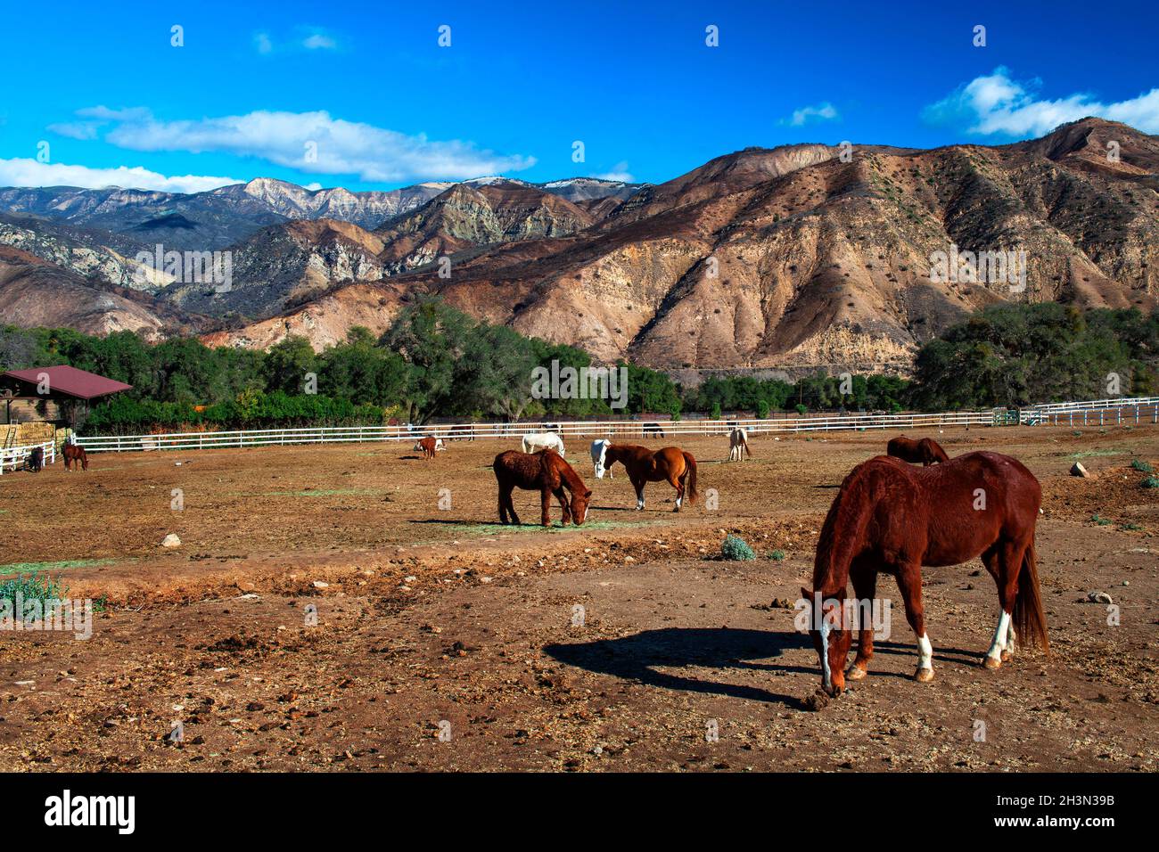 Rancho Oso, Santa Ynez Valley, Los Padres National Forest, California ...