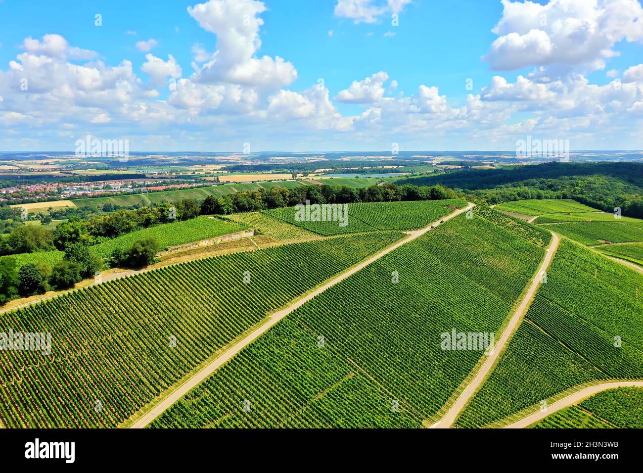 Distant view of vineyard hi-res stock photography and images - Alamy