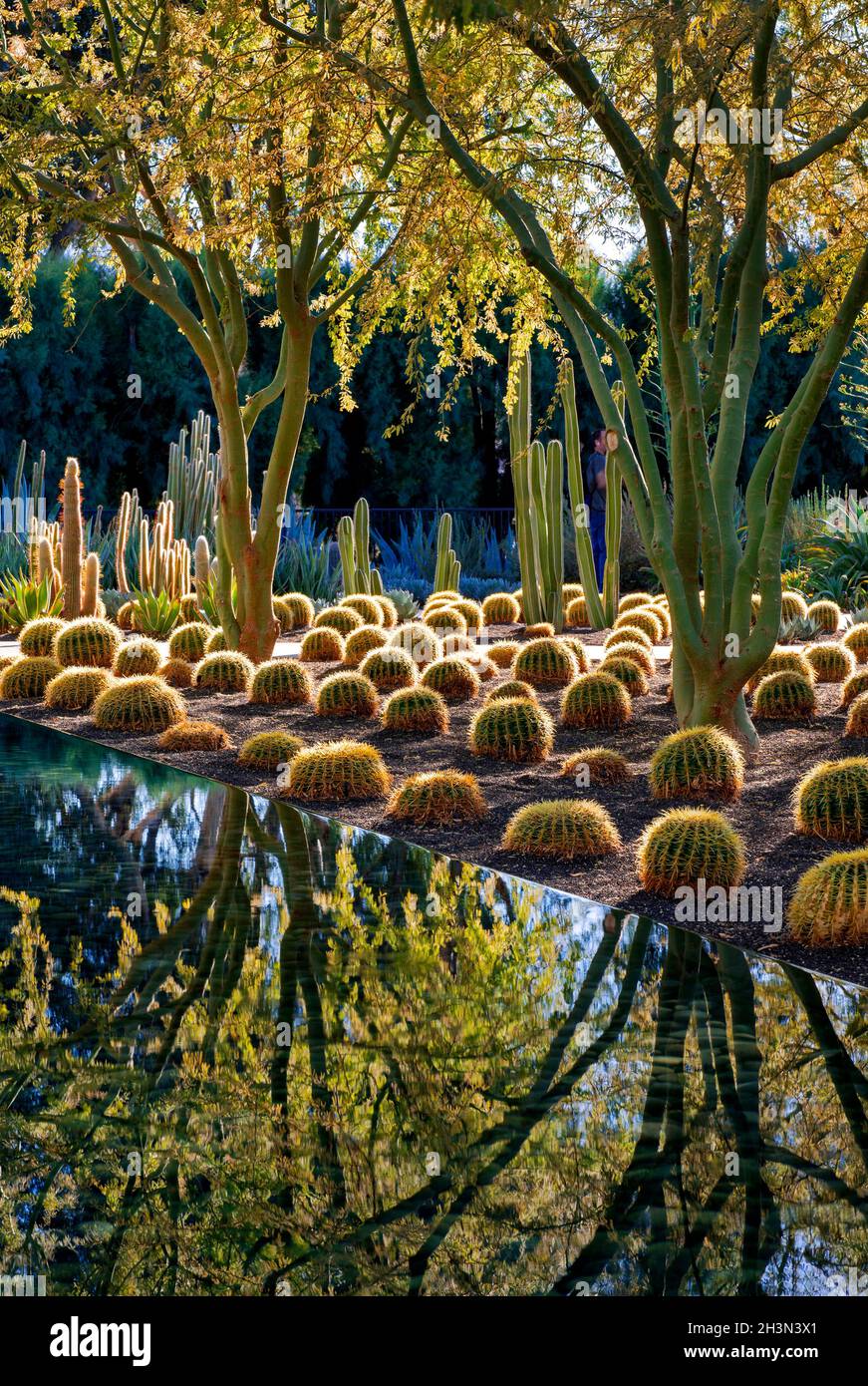 Sunnylands Center and Gardens, Rancho Mirage, California Stock Photo ...