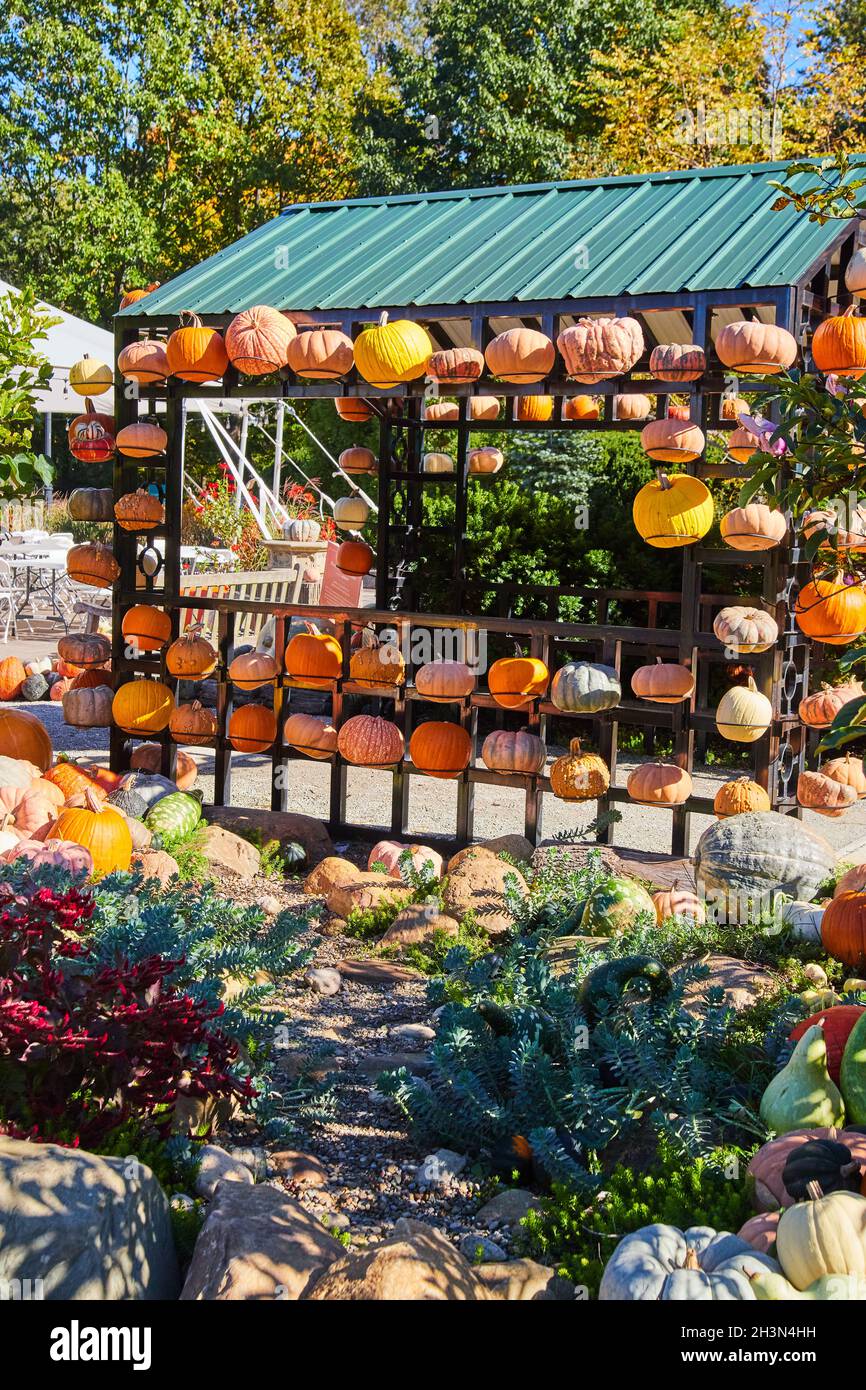 Metal structure outdoor covered completely in variety of pumpkins Stock ...