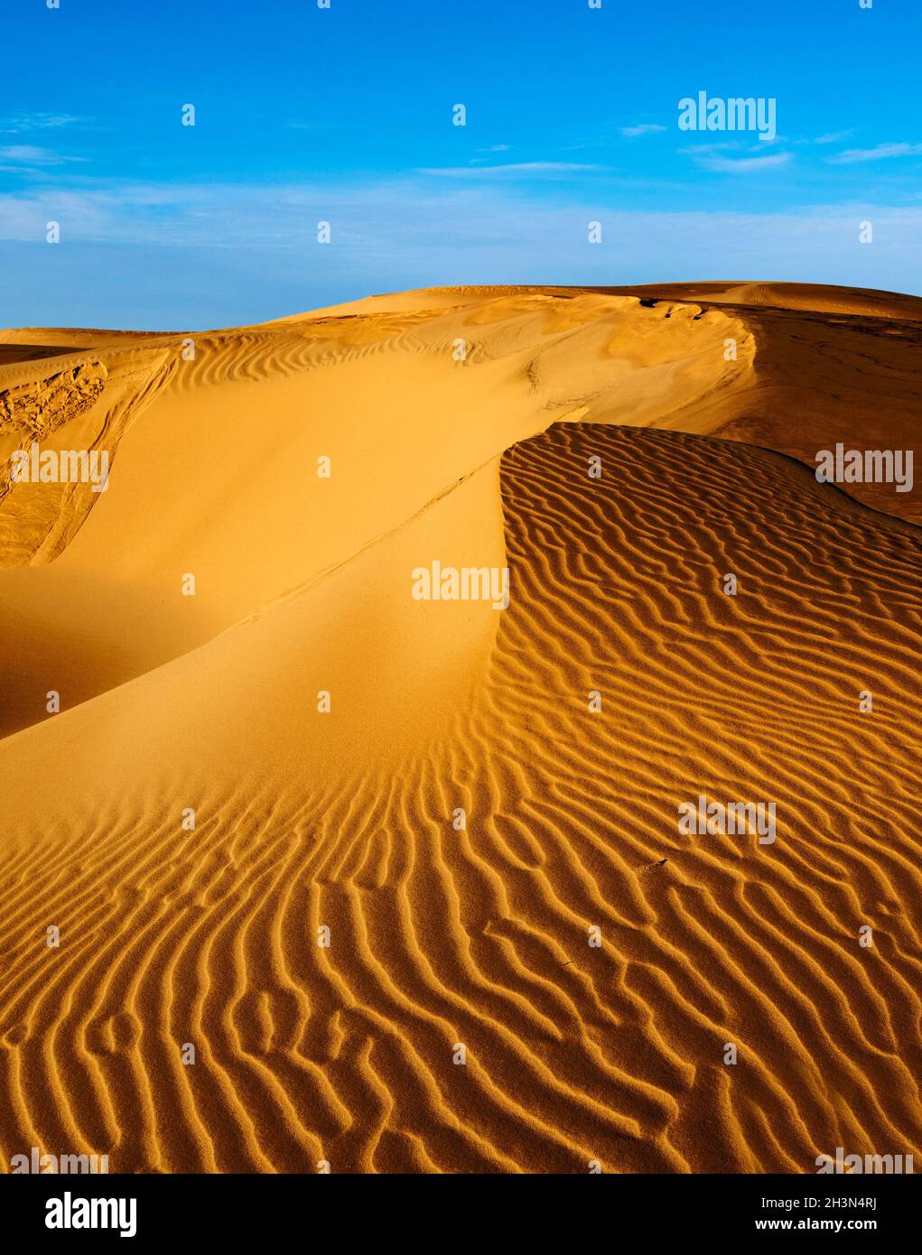 Oceano Dunes Natural Preserve, Pismo Beach, California Stock Photo - Alamy