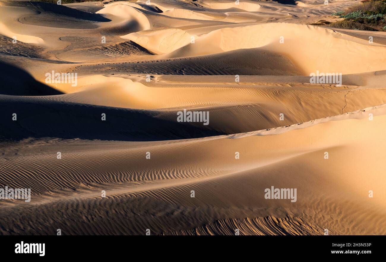 Sunrise at Oceano Dunes Natural Preserve, Pismo Beach, California Stock ...