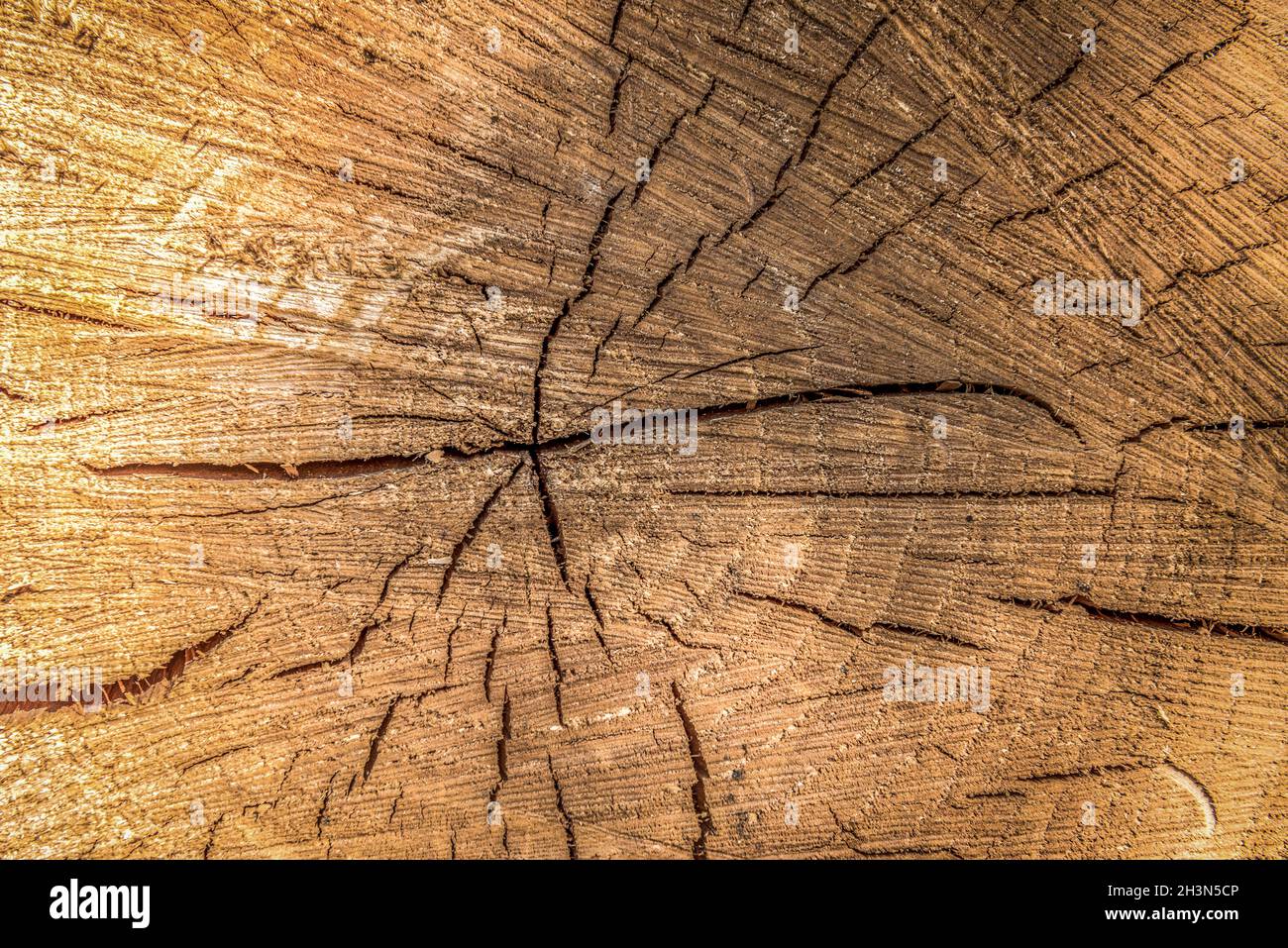 Log background close-up Stock Photo - Alamy