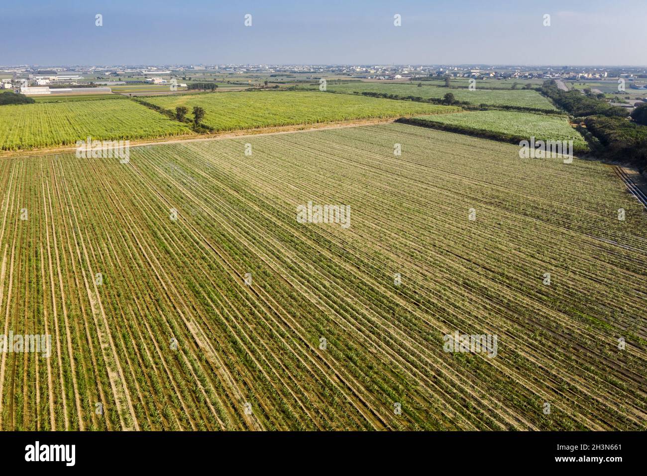 Aerial view of farm Stock Photo - Alamy