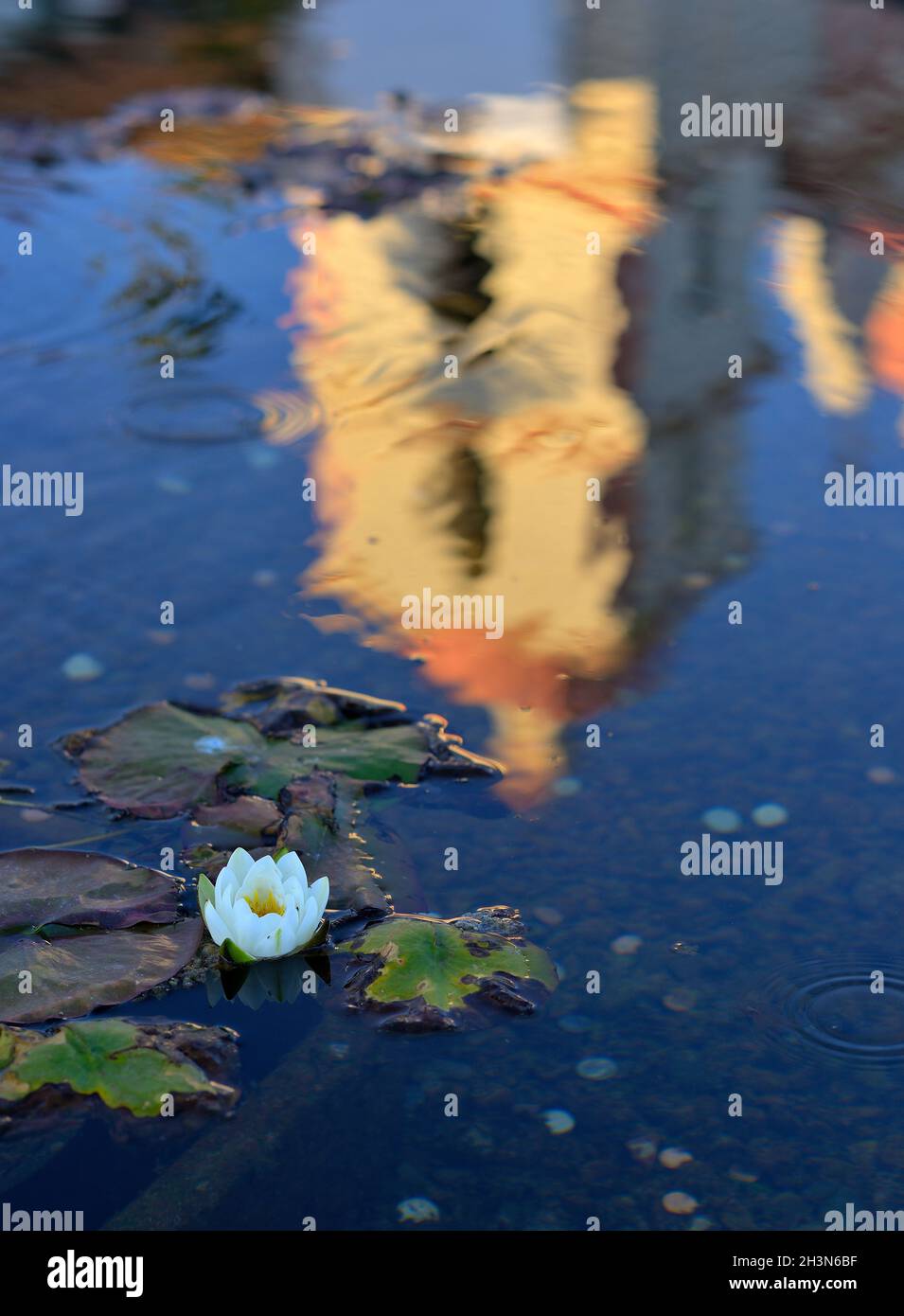 Chumash barbareno tribe hi-res stock photography and images - Alamy