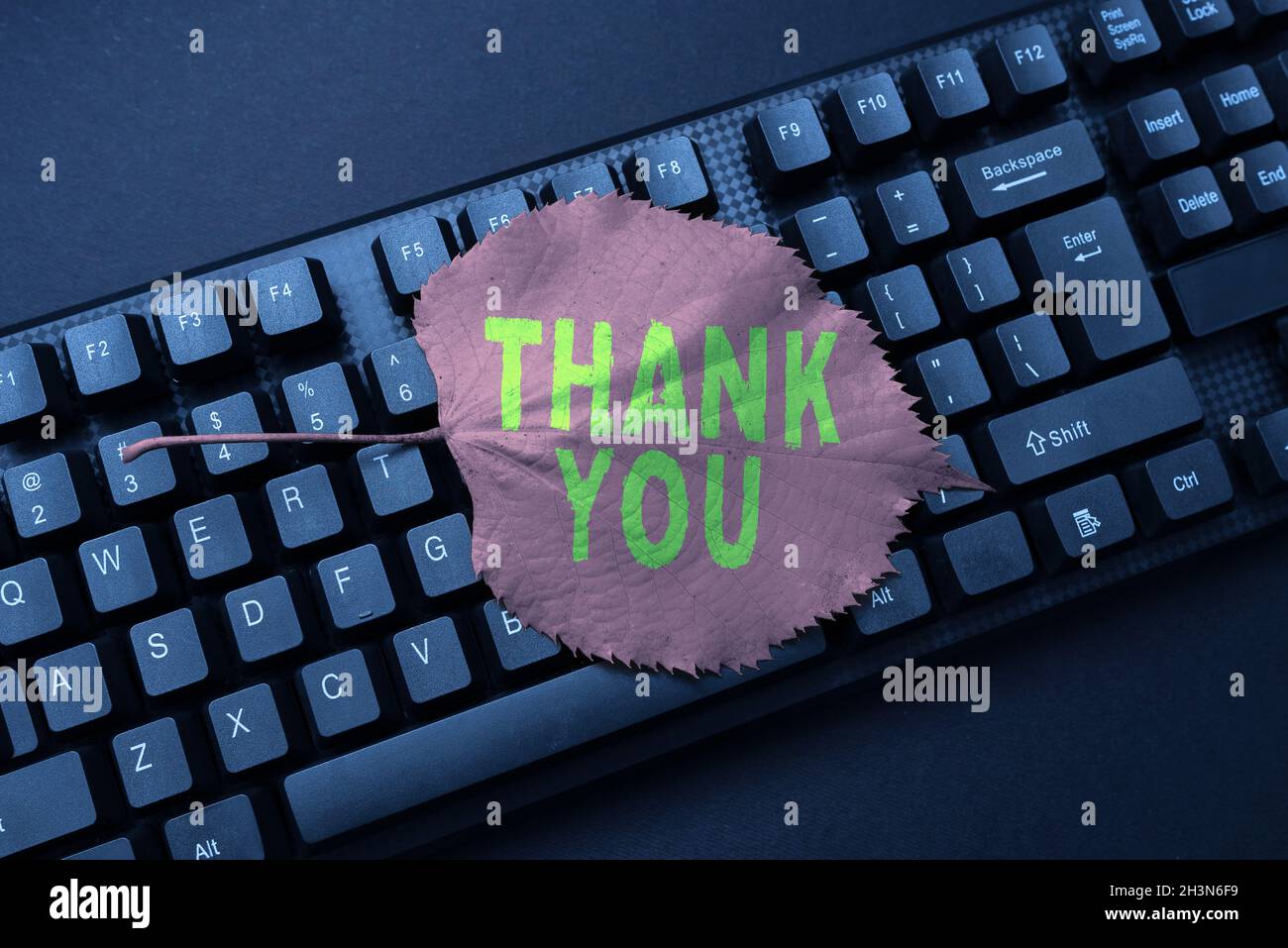 Sign displaying Thank You. Business overview a polite expression used ...