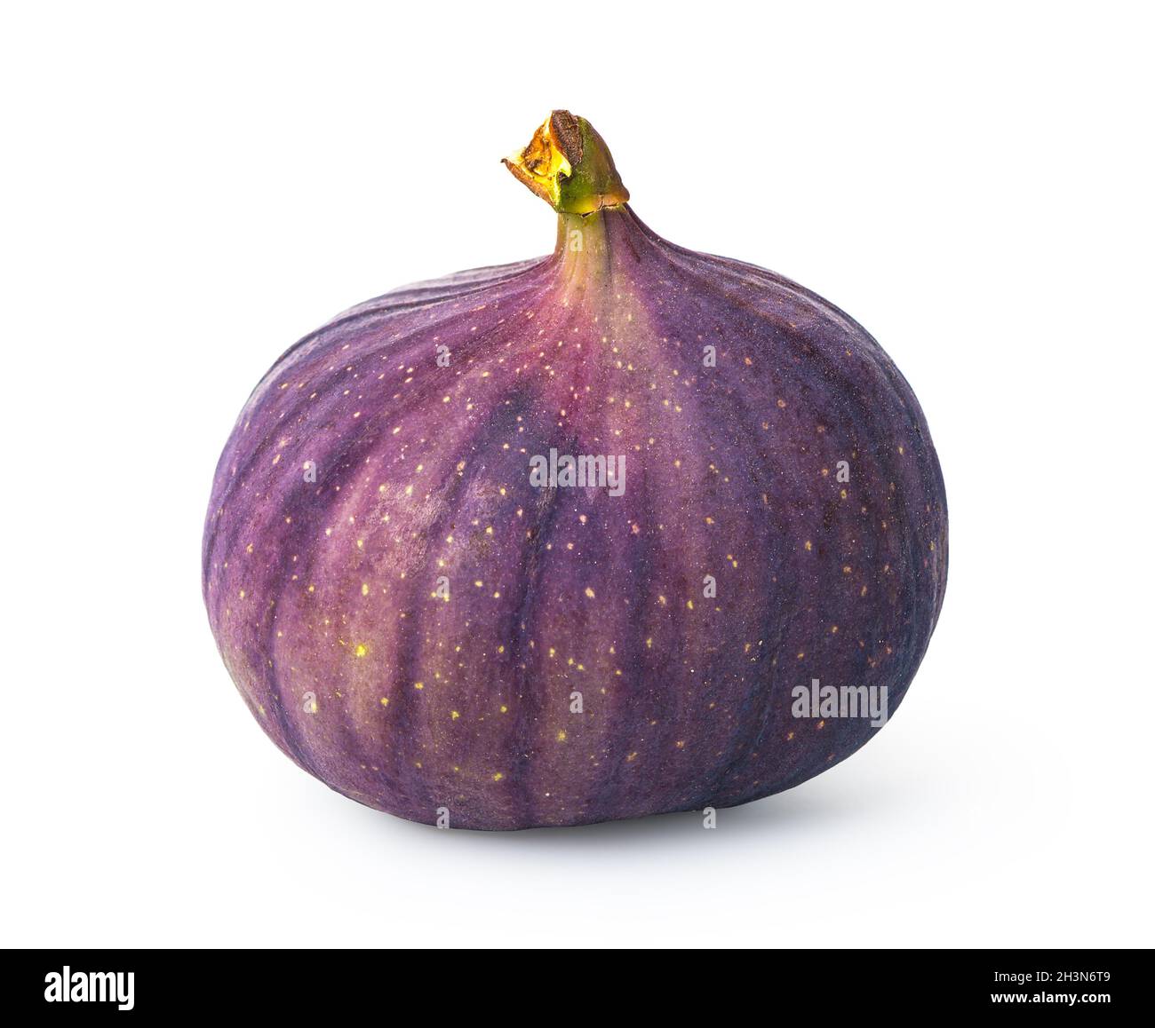 Purple tropical drink Cut Out Stock Images & Pictures - Alamy