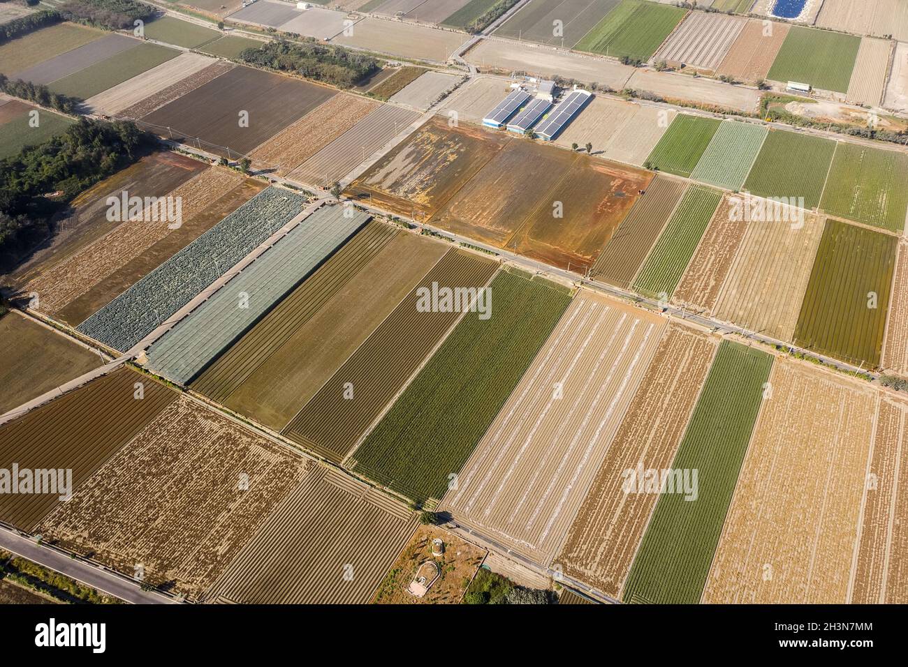 Colorful farm with solar energy generation buildings Stock Photo - Alamy