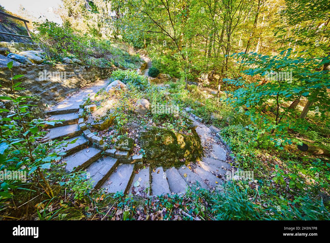 Stone step walkway 180 turn through forest in late fall Stock Photo - Alamy